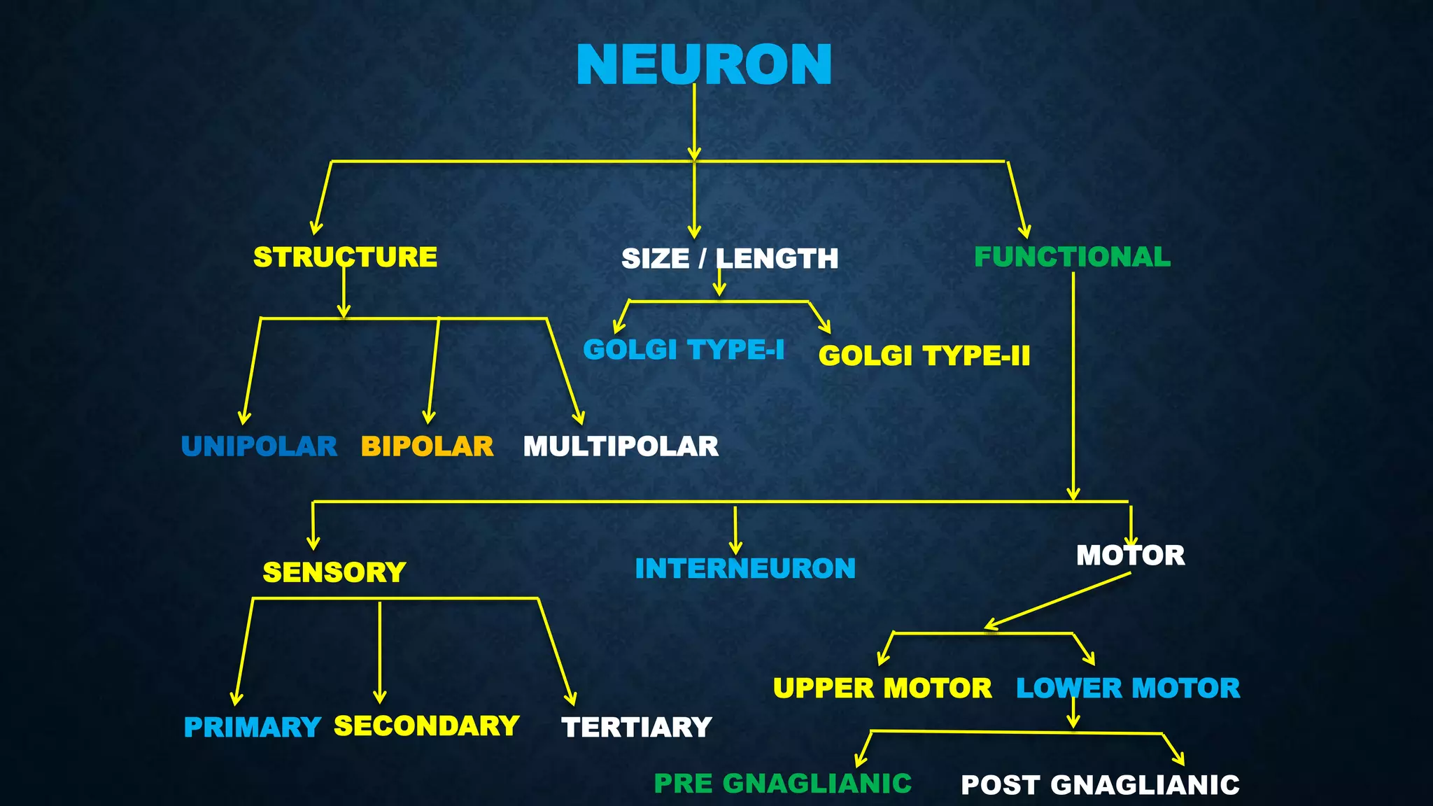 Nervous system introduction | PPTX