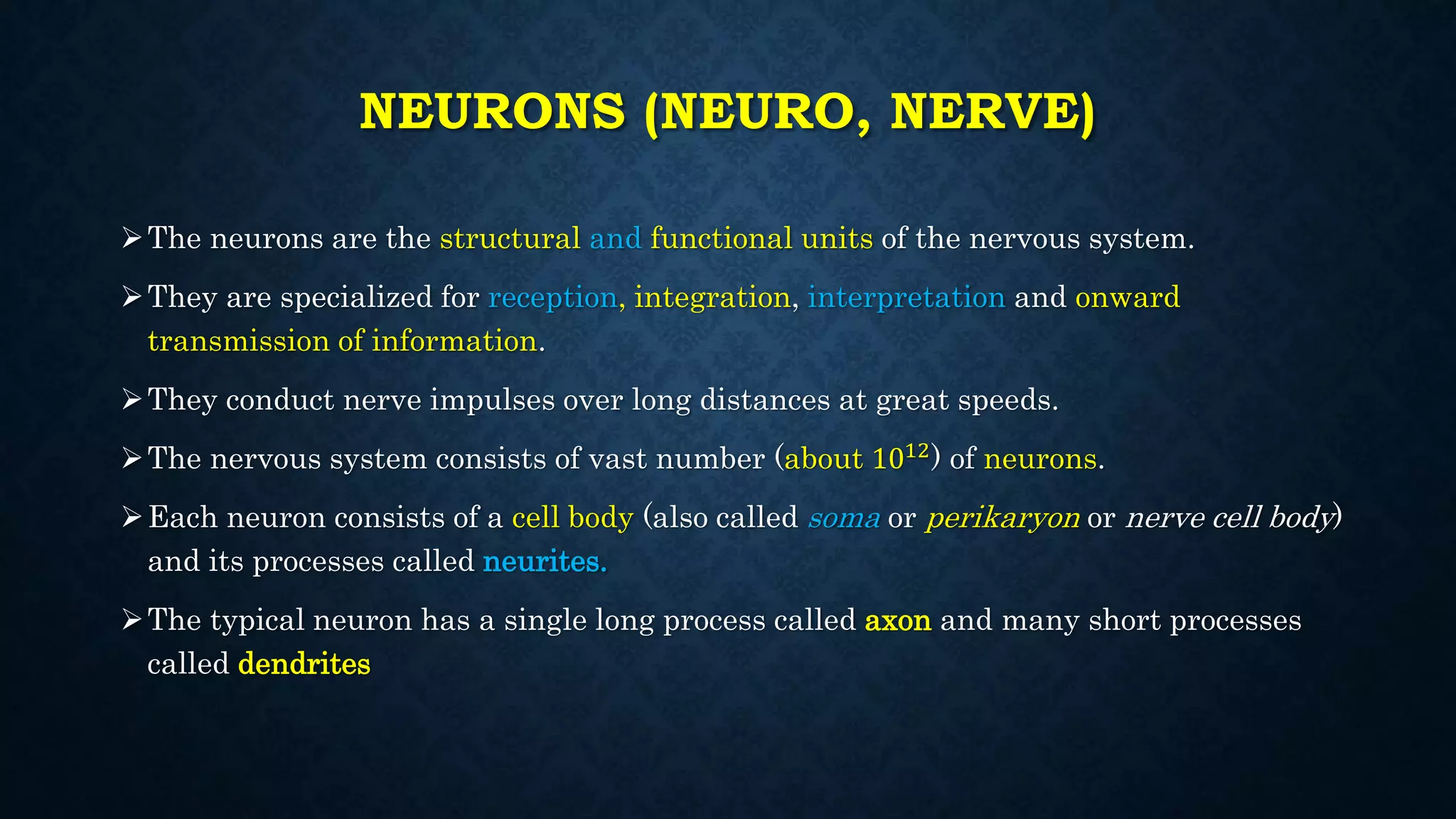 Nervous system introduction | PPT