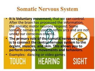 Biology: Nervous system | PPTX