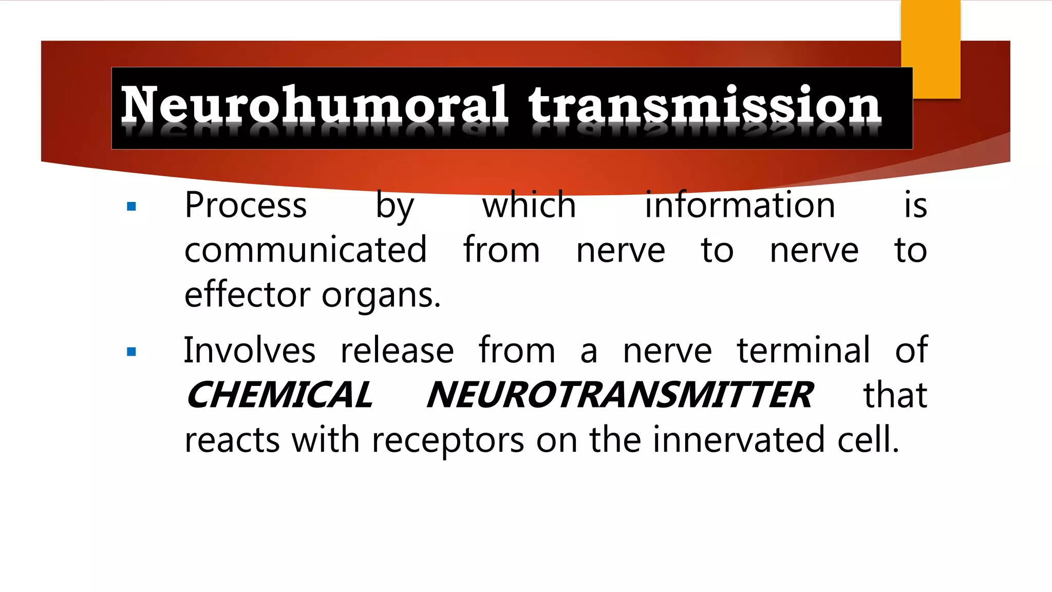 Physiology of the Nervous System | PPTX