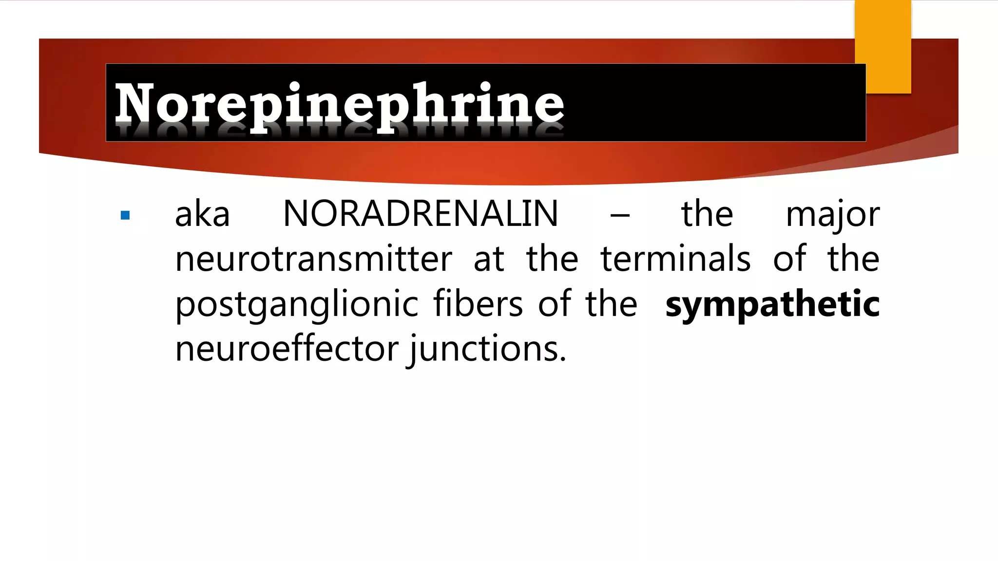 Physiology of the Nervous System | PPTX