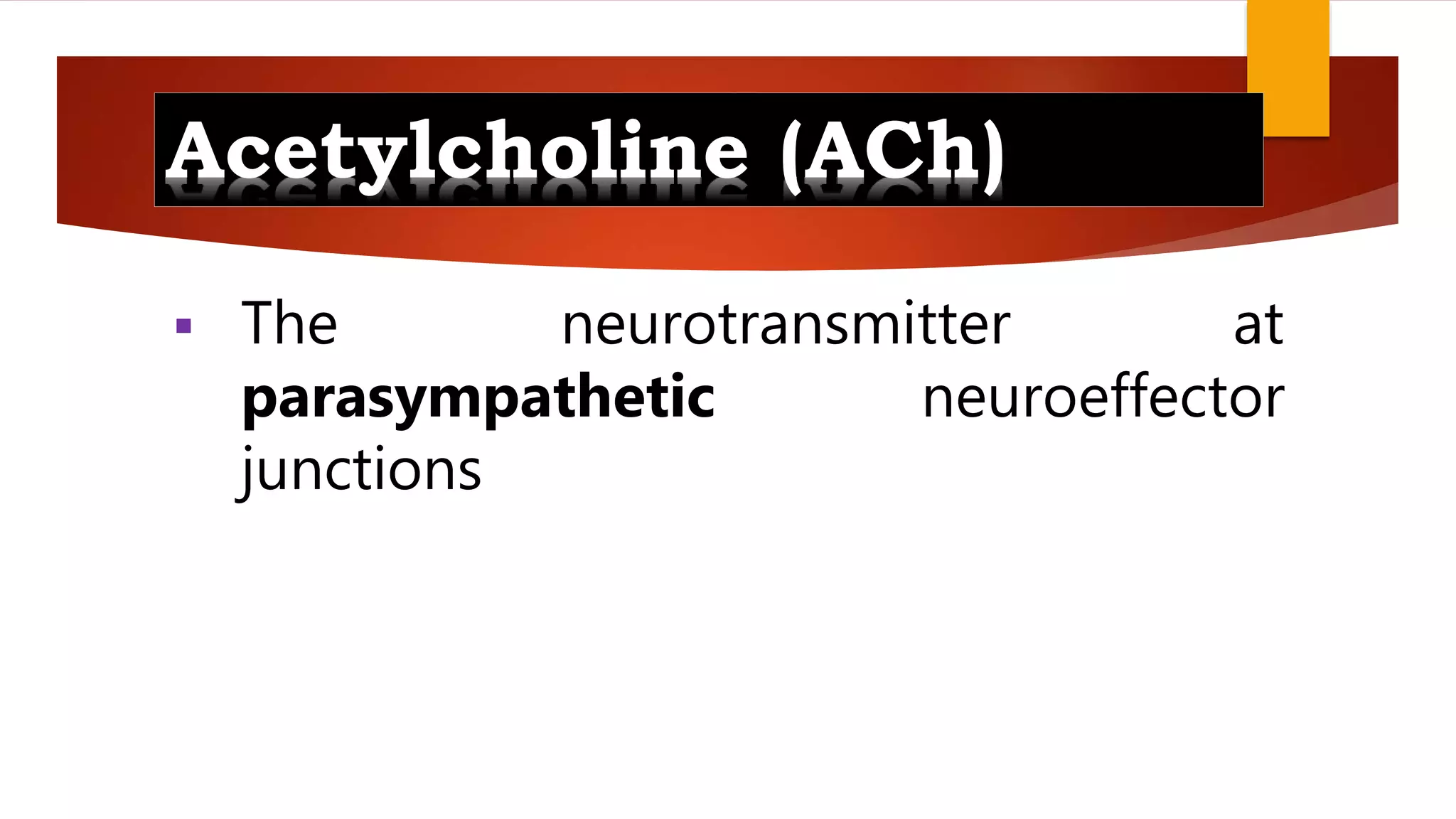 Physiology of the Nervous System | PPTX