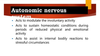 Physiology of the Nervous System | PPTX