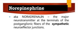 Physiology of the Nervous System | PPTX