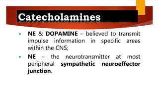 Physiology of the Nervous System | PPTX