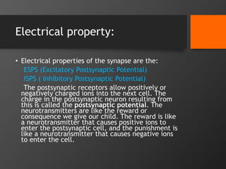 Nervous system lec 2.pptx