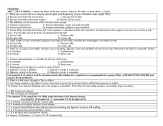 Nervous system lp | DOCX