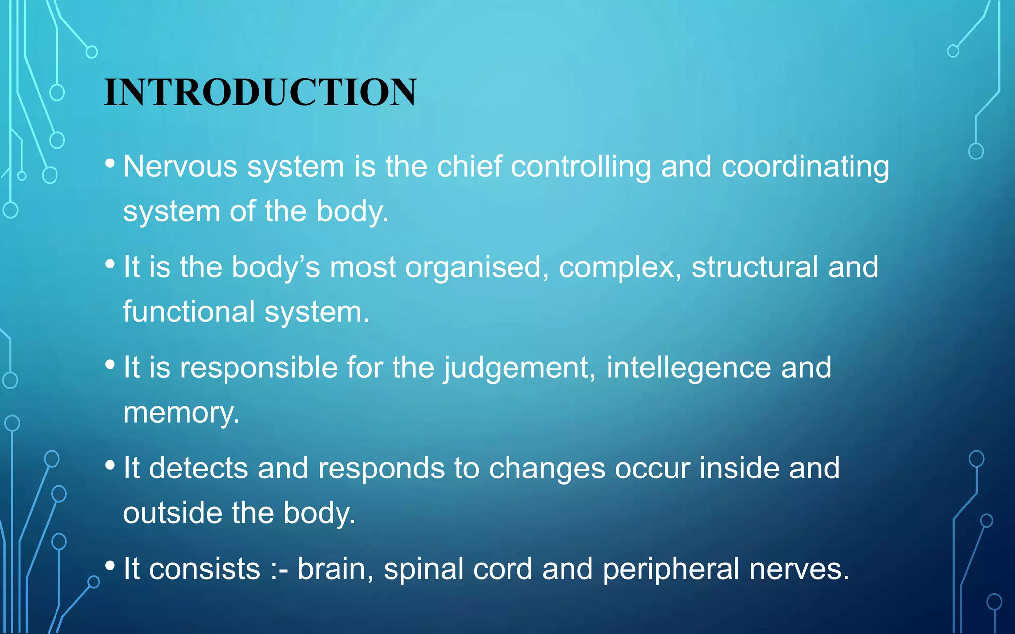 Nervous system.pptx