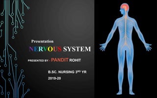 Nervous system.pptx