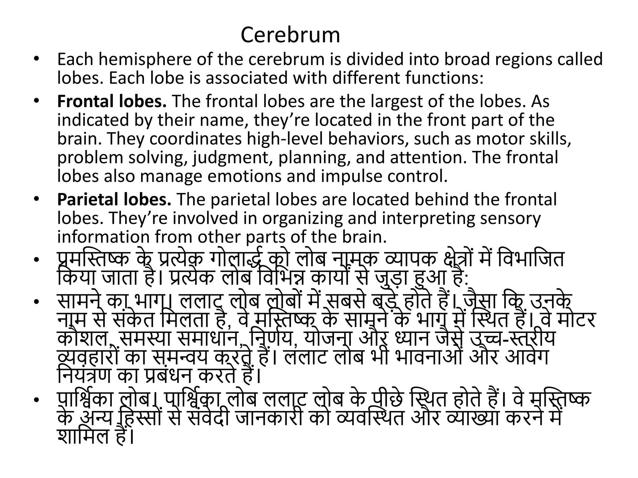 Nervous System human biology in detail.pptx