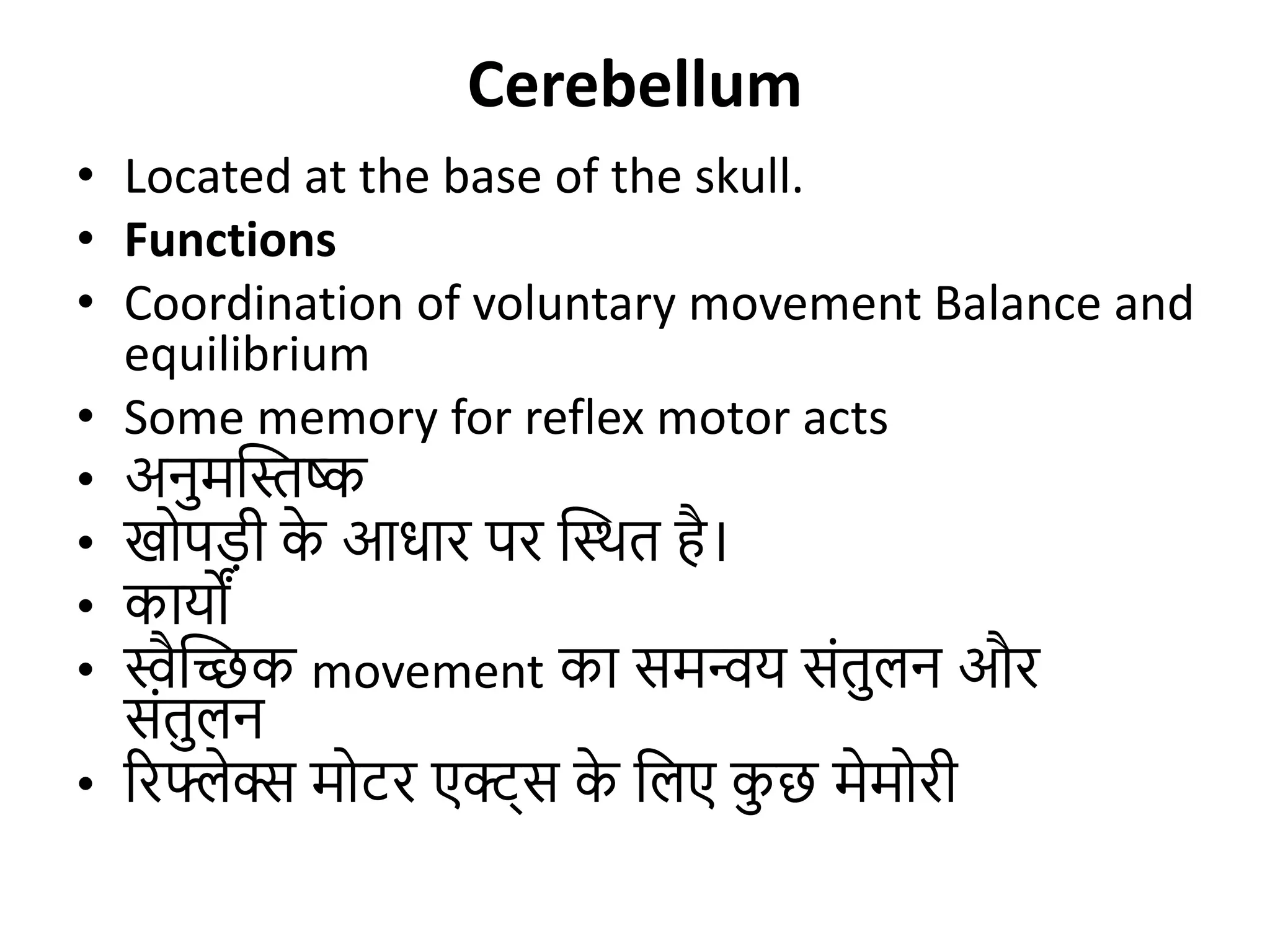 Nervous System human biology in detail.pptx
