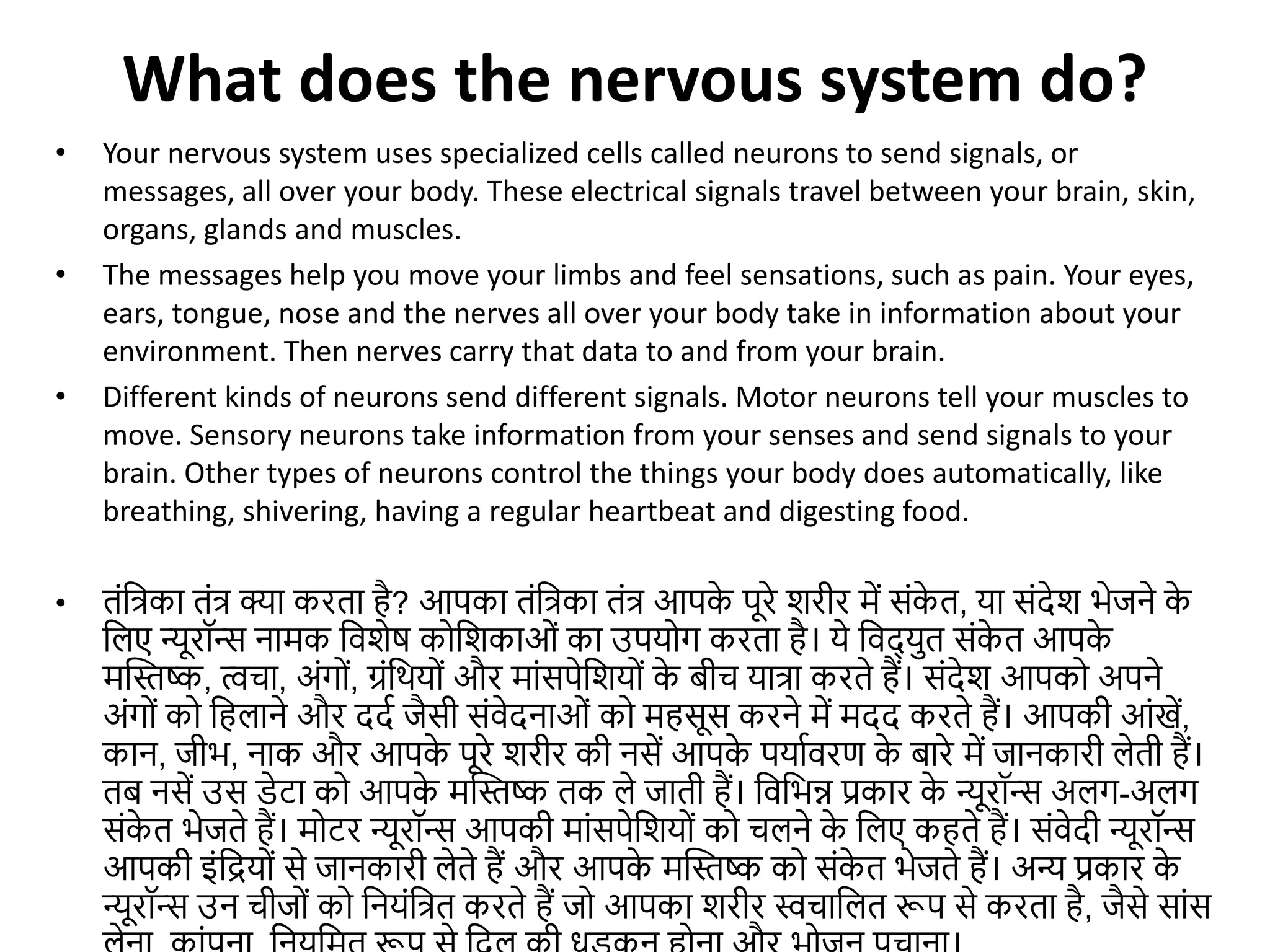 Nervous System human biology in detail.pptx