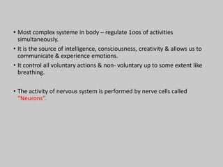 Nervous system ( anatomy and physiology) | PPT