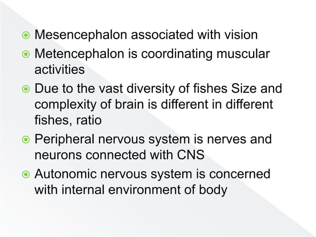 Nervous system of fishes | PPTX | Brain and Nervous System Disorders ...