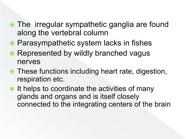 Nervous system of fishes