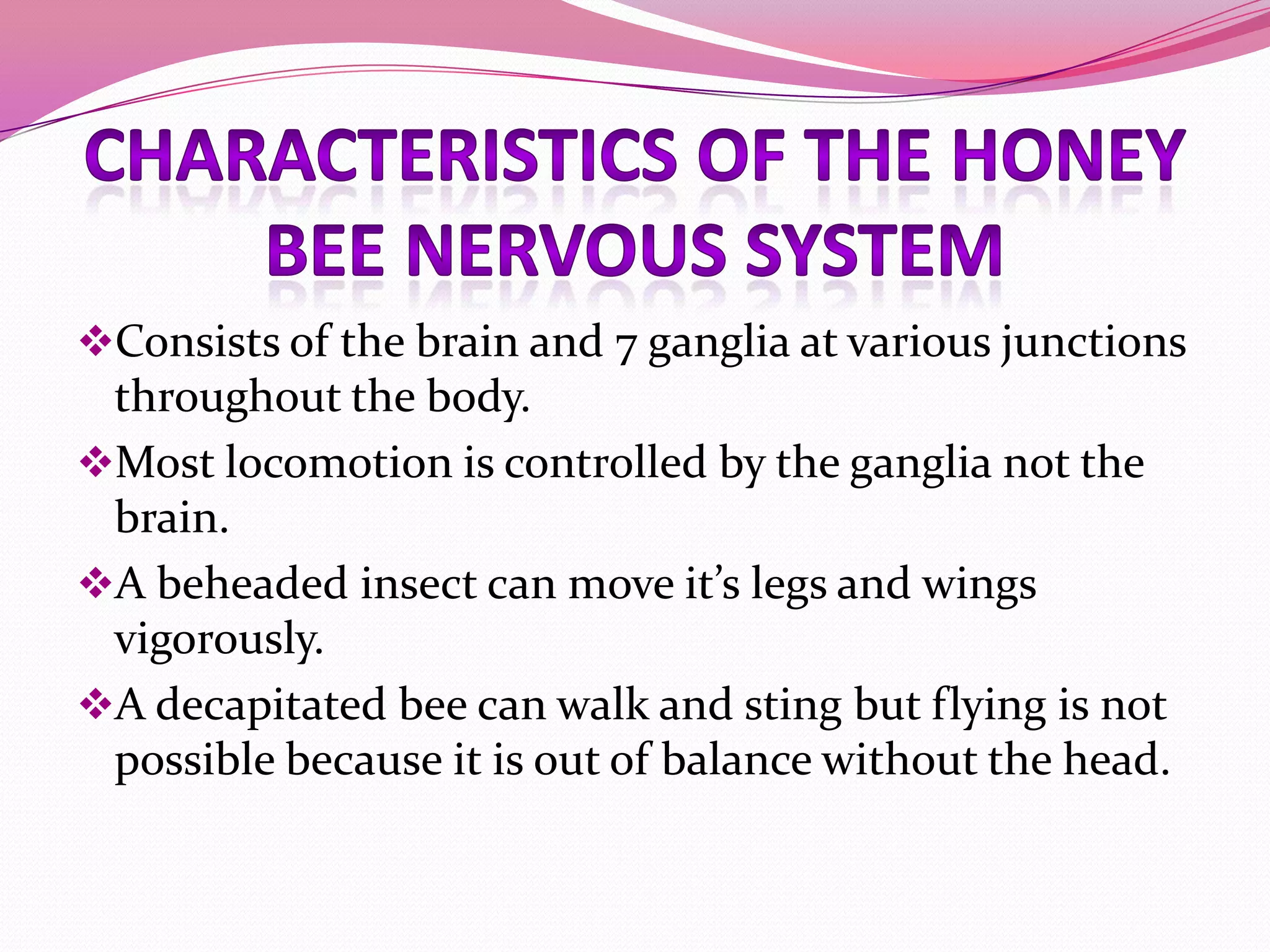 Nervous system of honey bee.pptxx (2) | PPTX