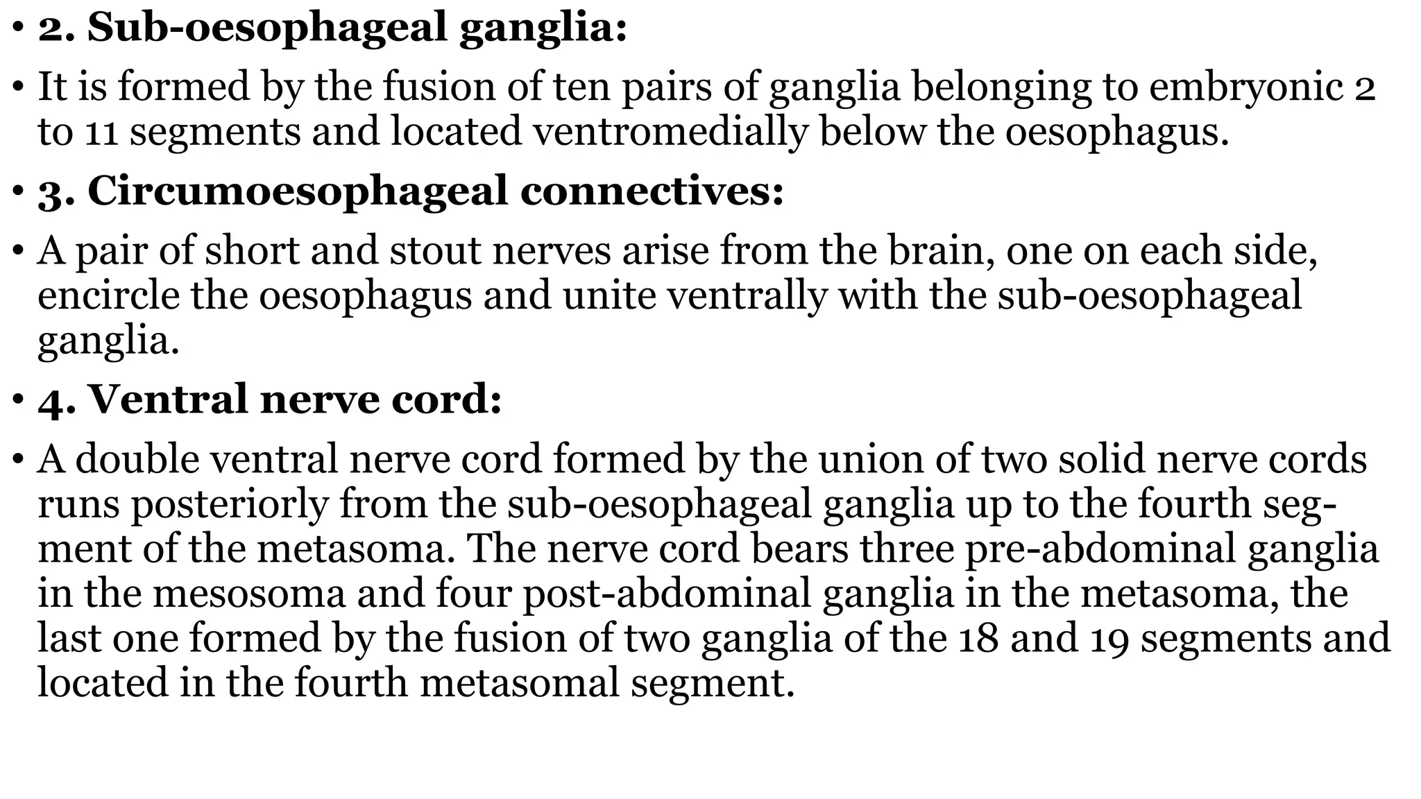Nervous System of Scorpion.pptx