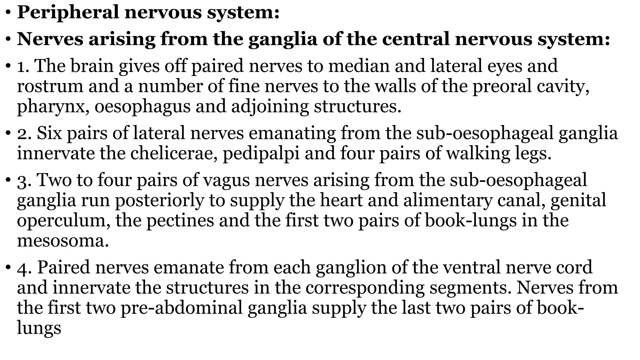 Nervous System of Scorpion.pptx