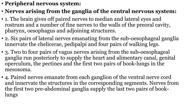 Nervous System of Scorpion.pptx