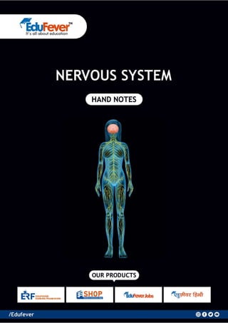 Nervous system - Biology Handwritten Notes | PDF