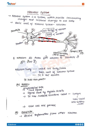 Nervous system - Biology Handwritten Notes | PDF
