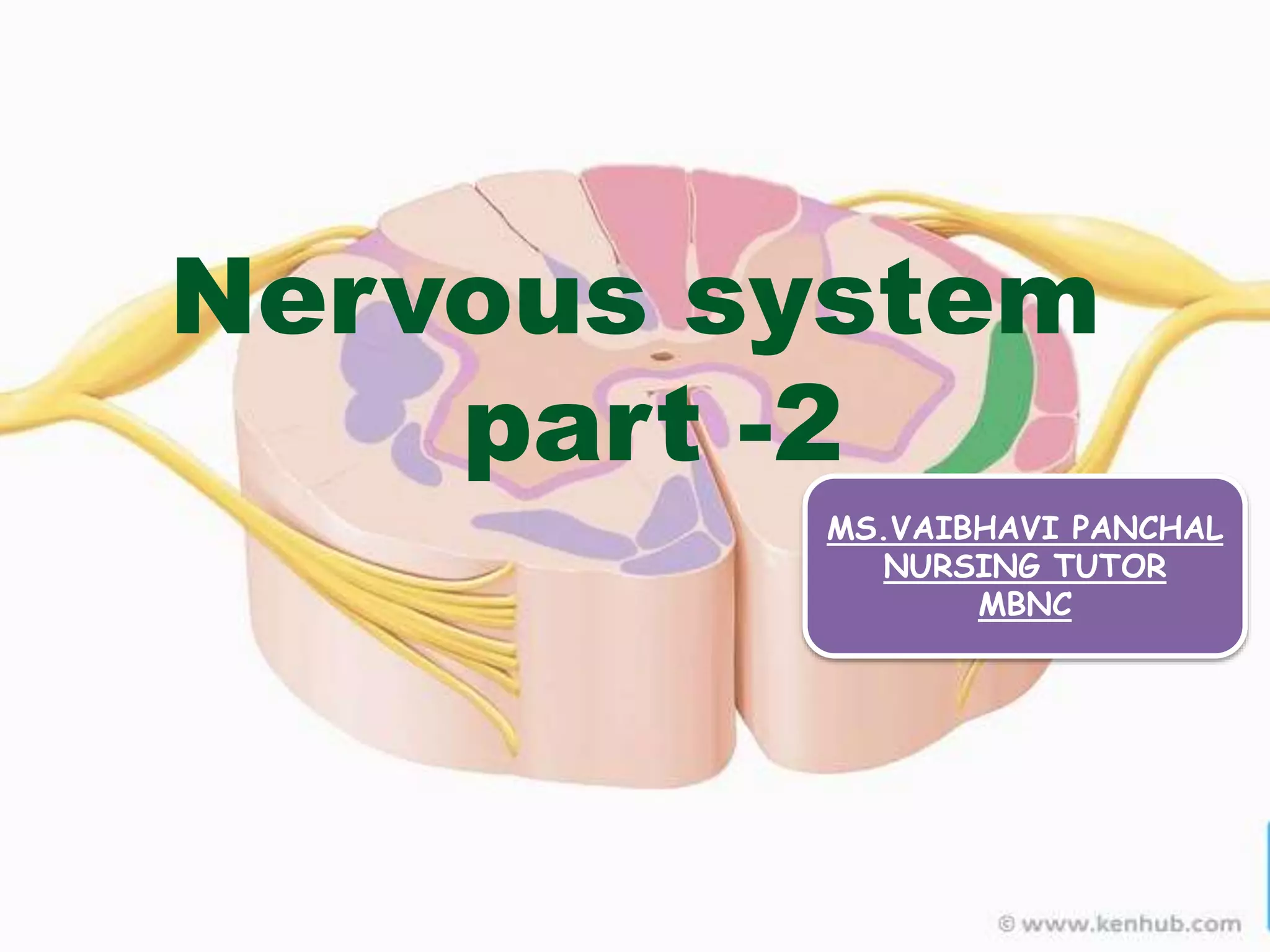 Nervous system part 2 | PPT