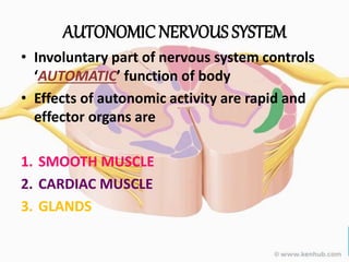 Nervous system part 2 | PPT