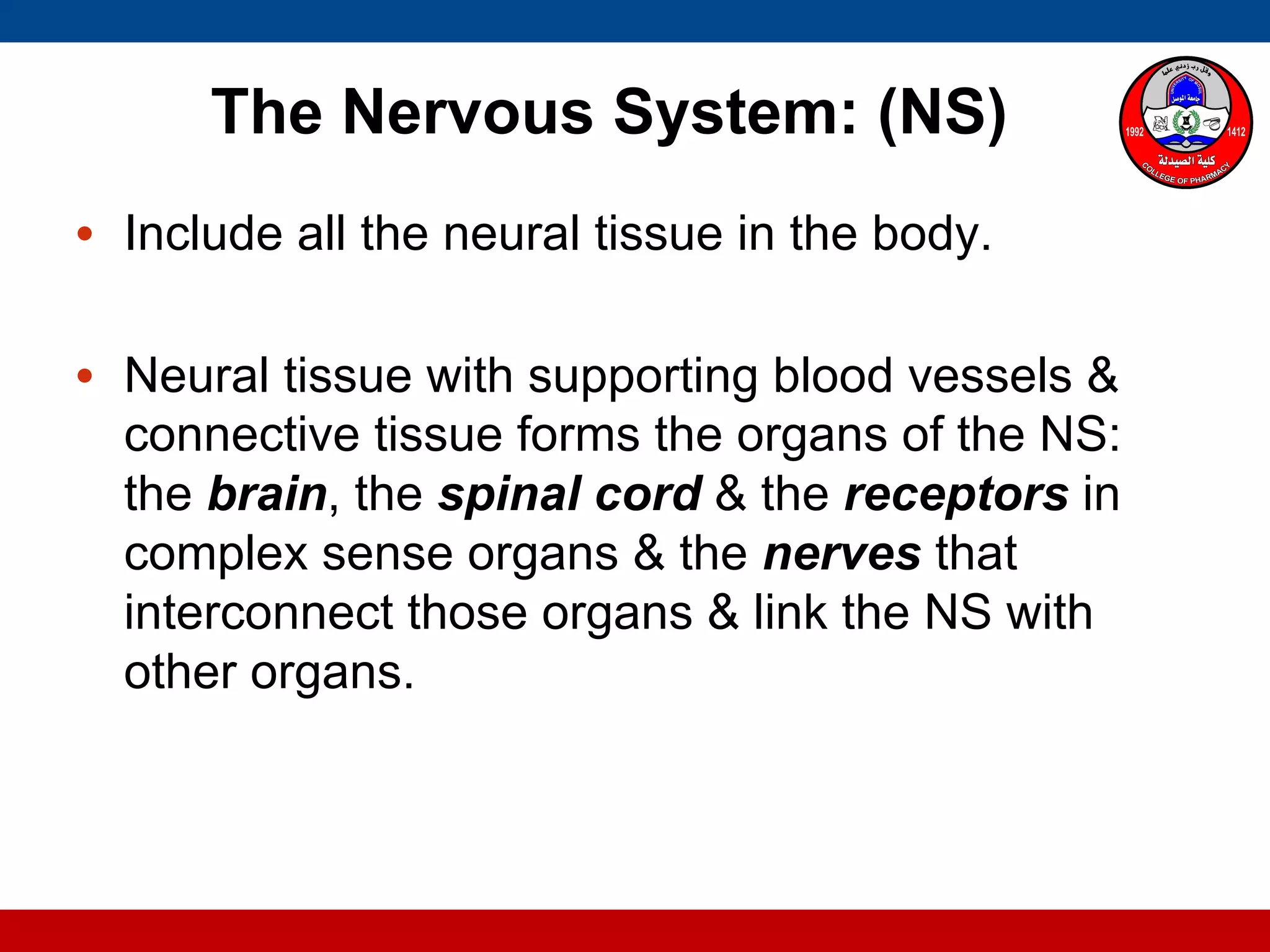 Nervous system: part I | PDF