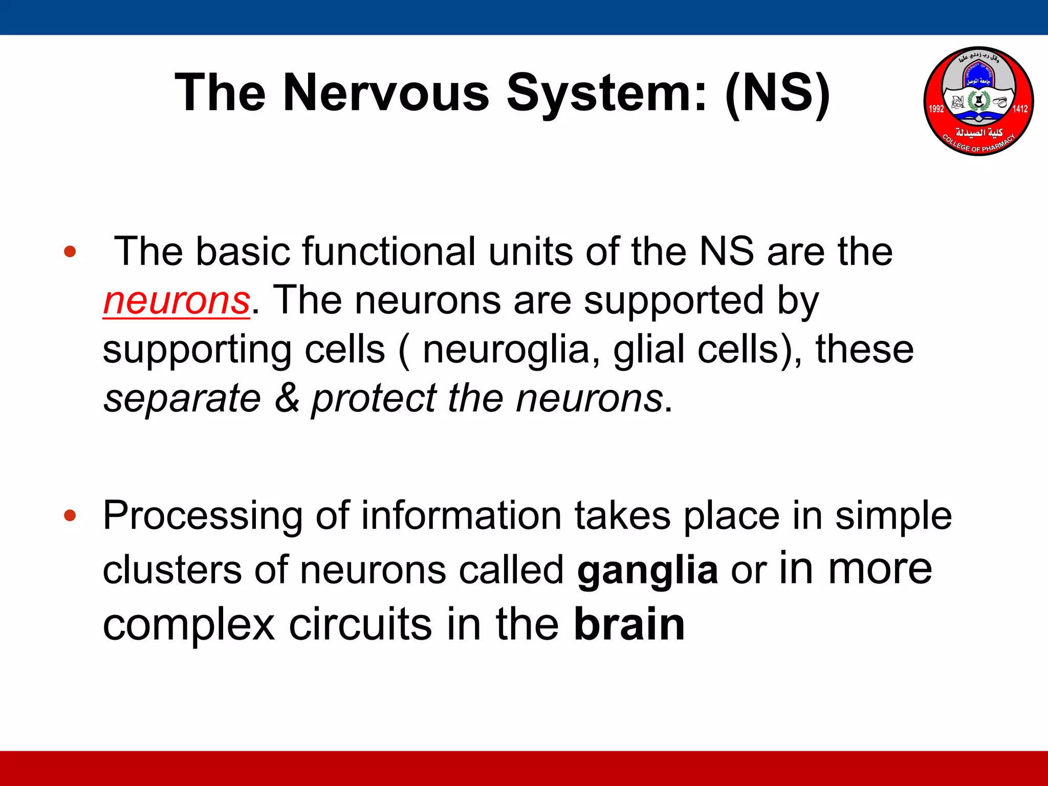 Nervous system: part I | PDF