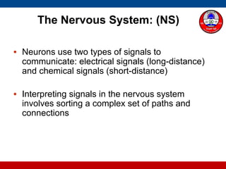 Nervous system: part I | PDF