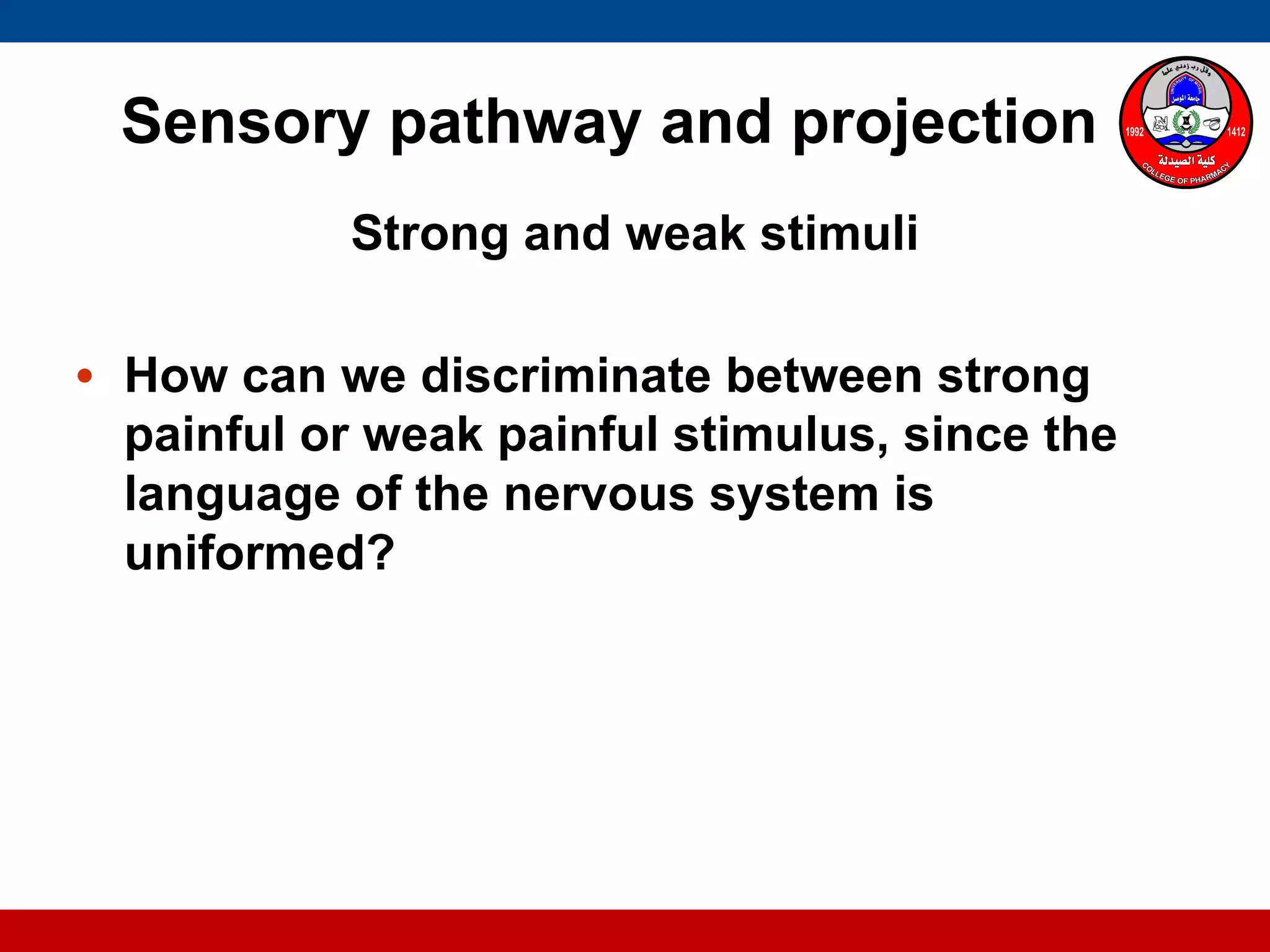 The Nervous system: Part II | PDF