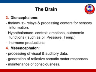 Nervous system:Part VI | PDF
