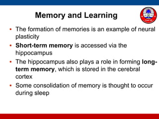 Nervous system:Part vii | PPT | Free Download