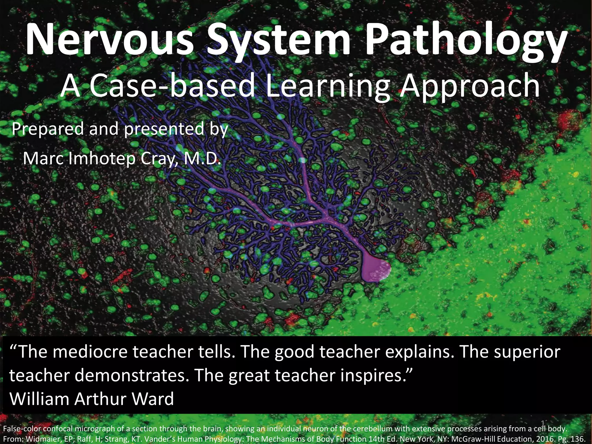 Nervous System Pathology_A Case-based Learning Approach | PDF