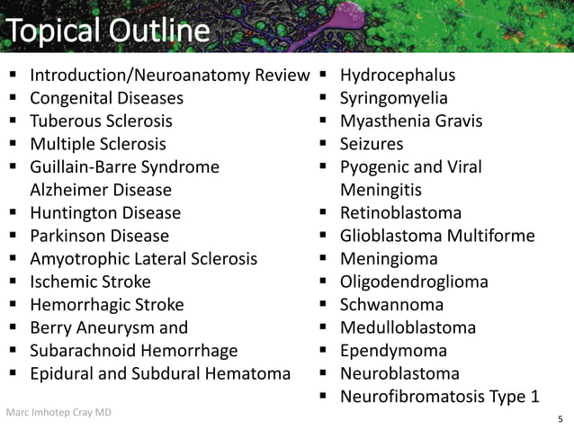 Nervous System Pathology_A Case-based Learning Approach | PDF | Brain ...