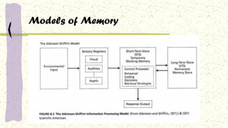 Nervous system physiology.pdf