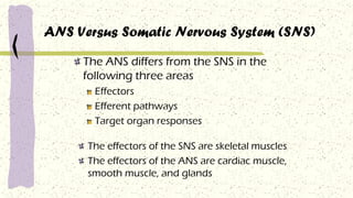 Nervous system physiology.pdf