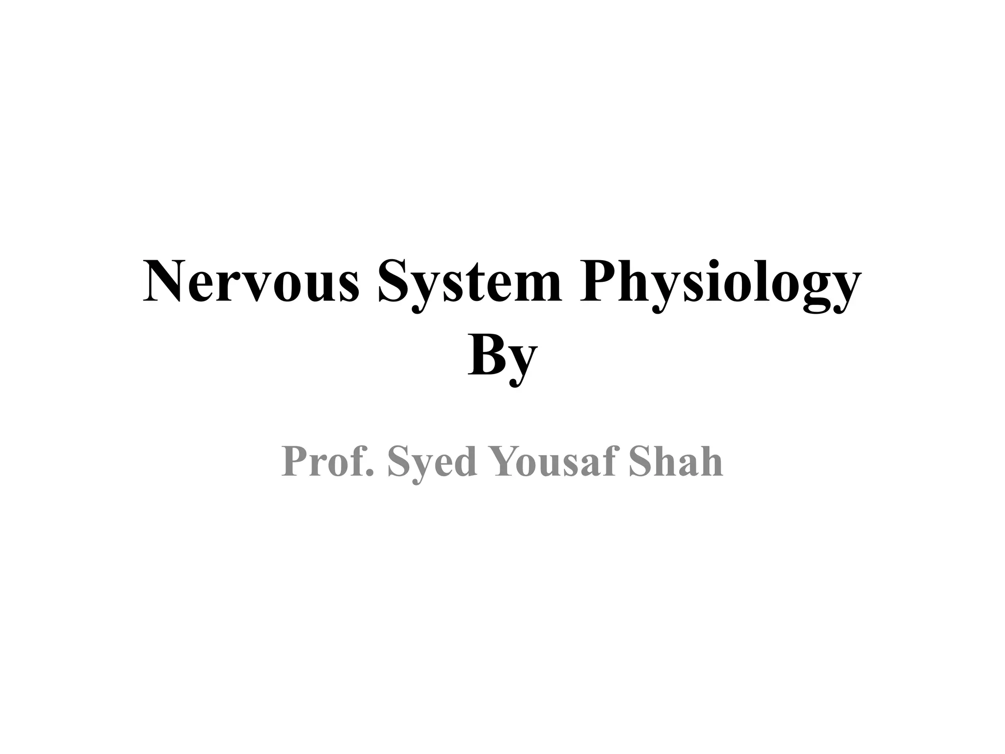 Nervous System Physiology Power Point Presentation | PPTX