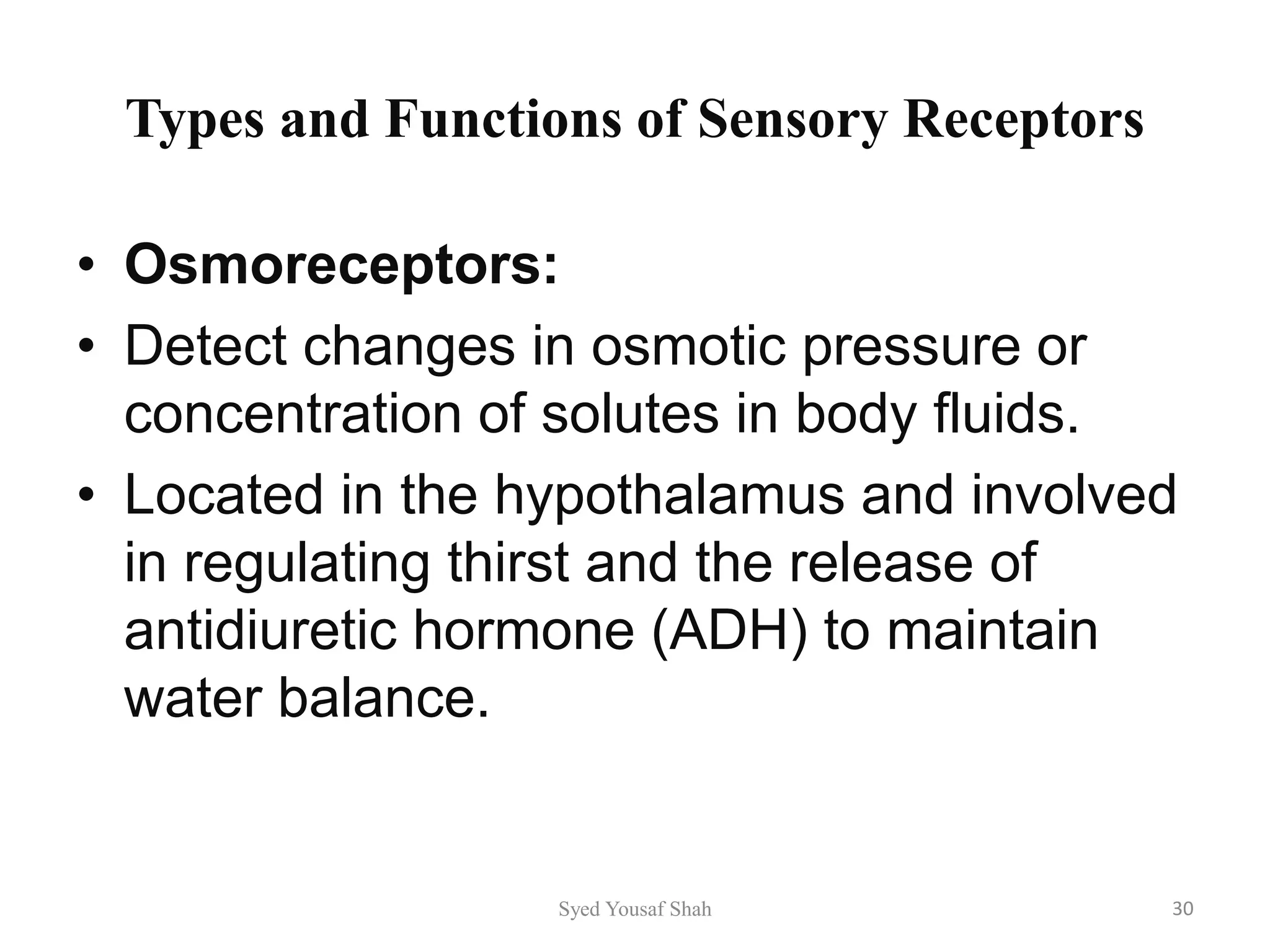 Nervous System Physiology Power Point Presentation | PPTX