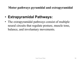 Nervous System Physiology Power Point Presentation | PPTX