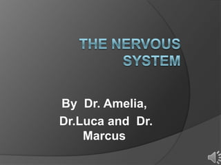 Nervous system power point | PPTX