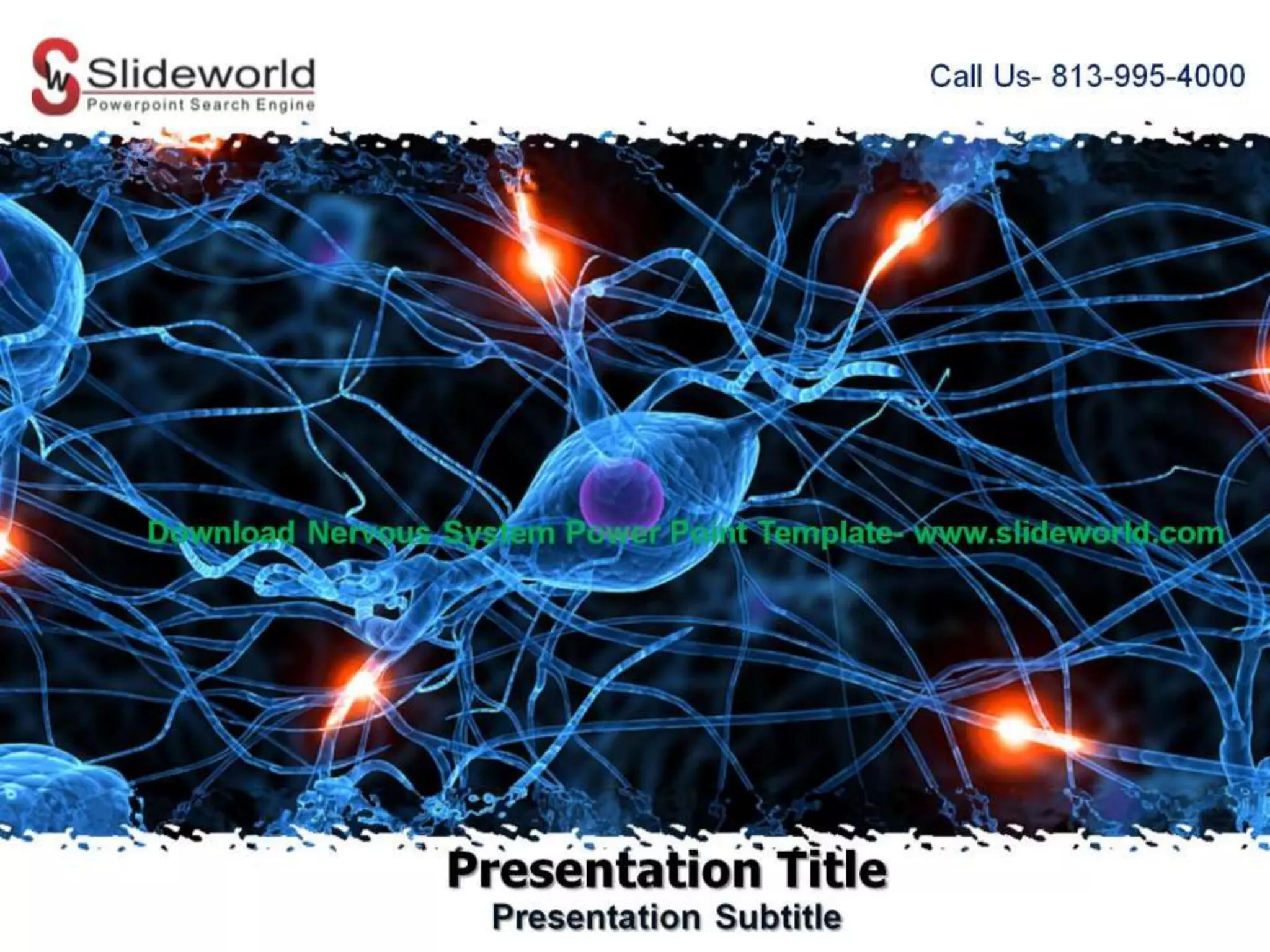 Nervous system powerpoint template | PPT