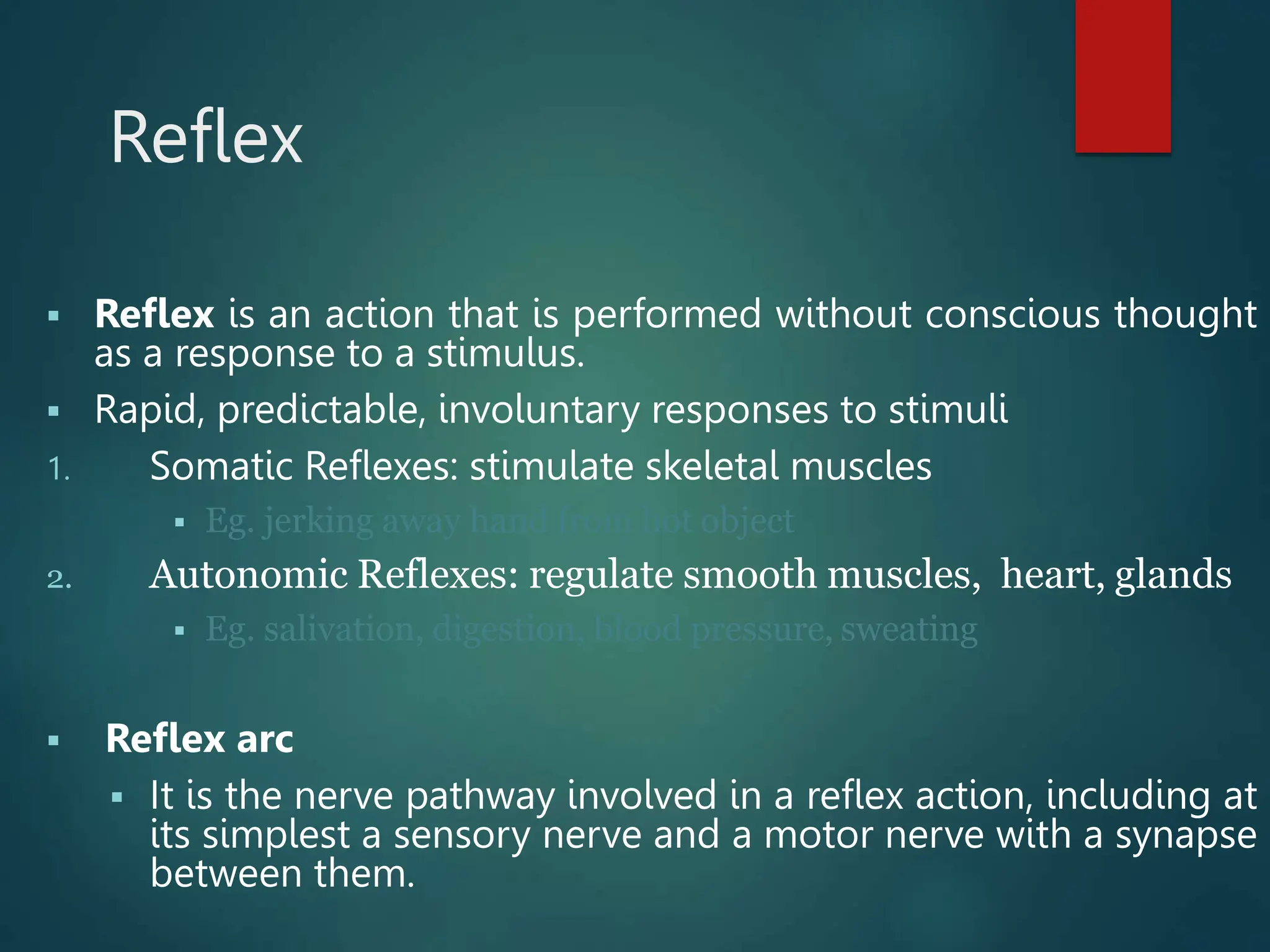 nervouservoussystemervoussystemervoussystemervoussystemsystemppt-2.pptx ...