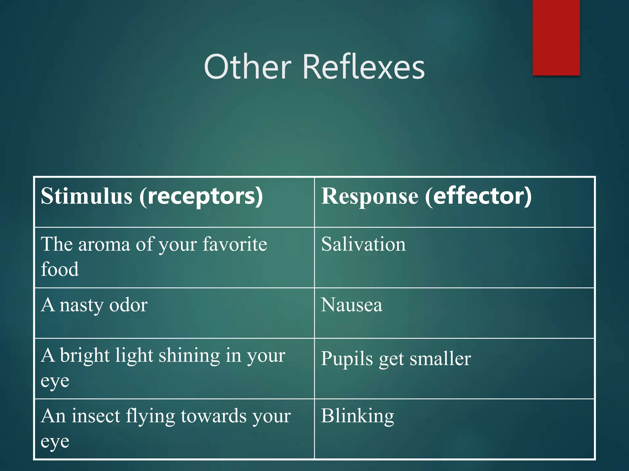 nervouservoussystemervoussystemervoussystemervoussystemsystemppt-2.pptx