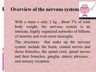 Nervous system ppt | PPT