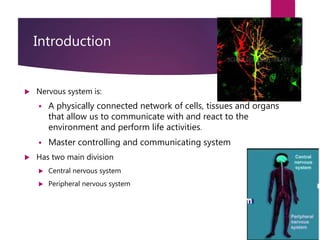 nervoussystemppt-210110150951.pdf