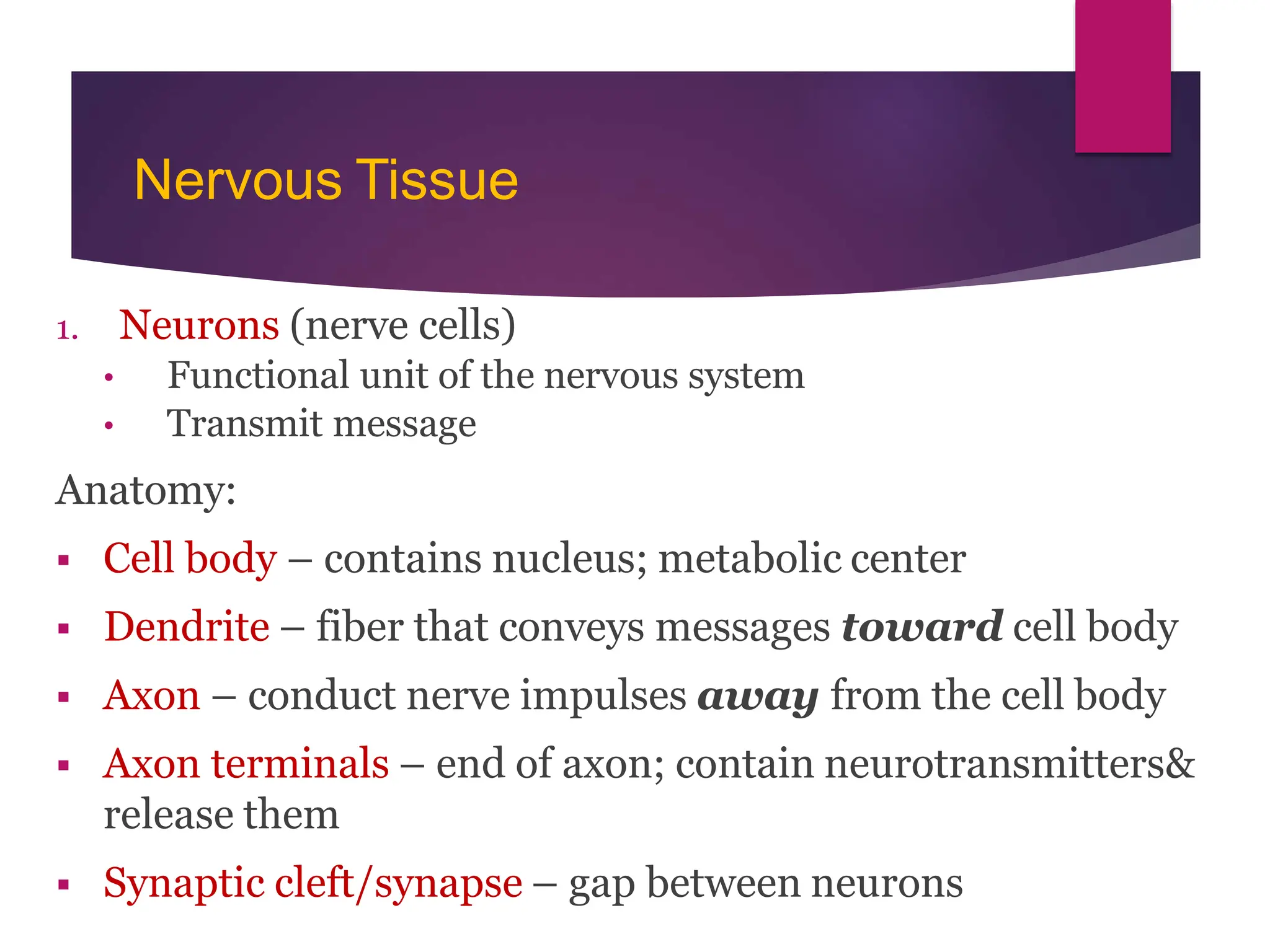nervous system ppt pptx anatomy system of nerves | PPTX