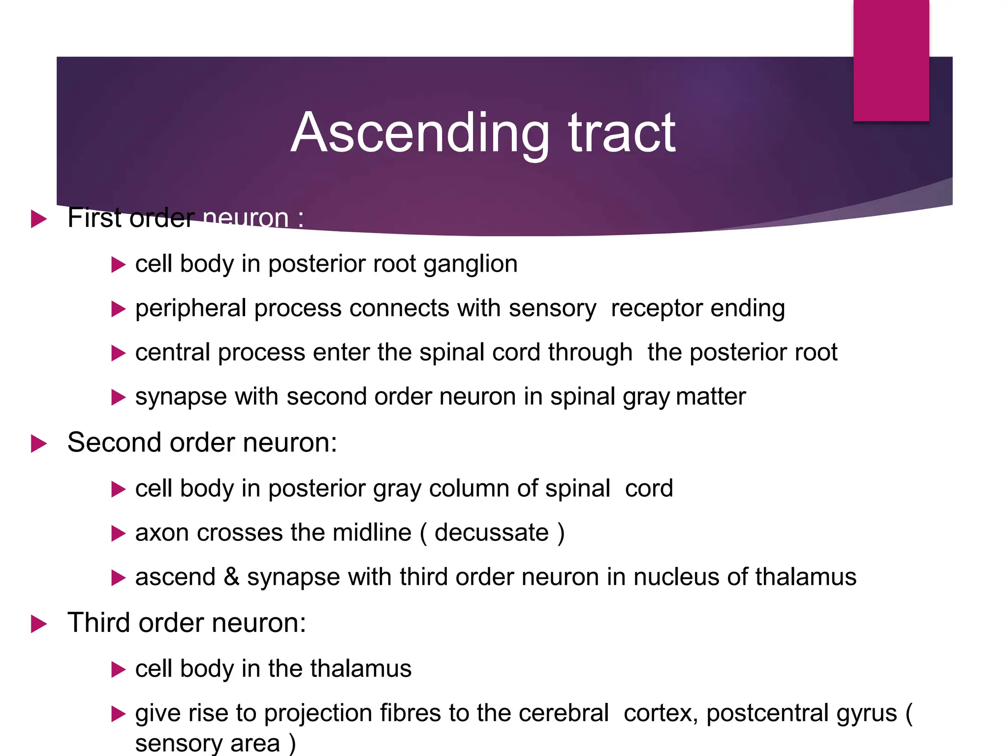nervous system ppt pptx anatomy system of nerves | PPTX