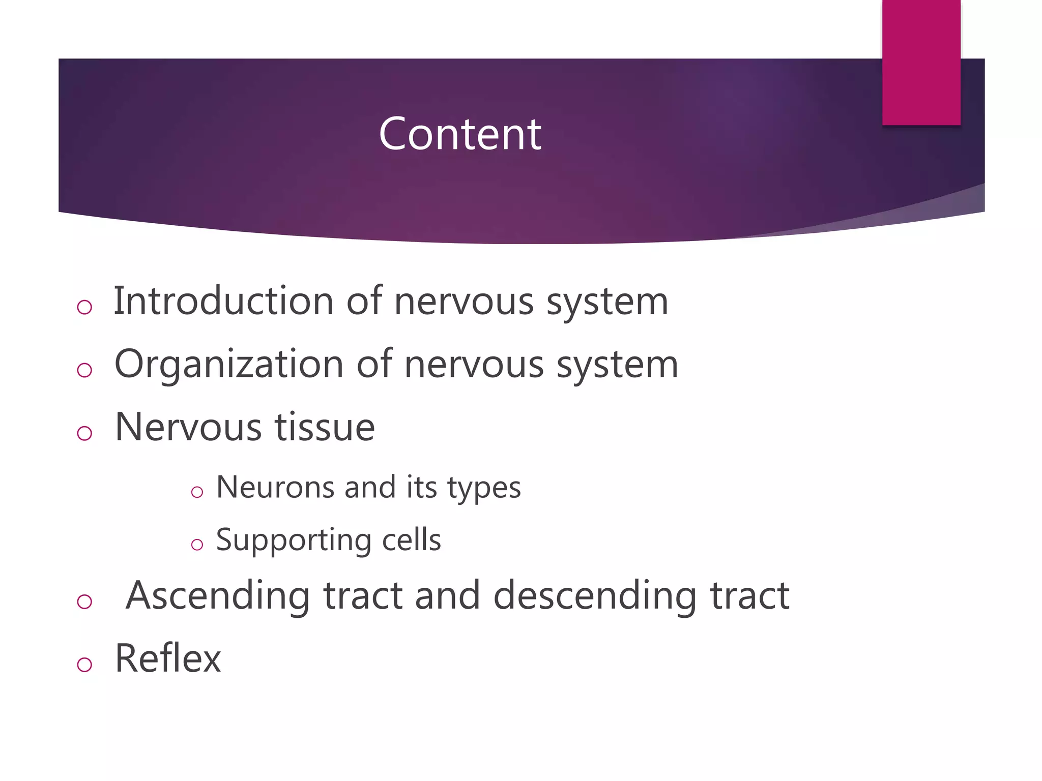Nervous system ppt | PPTX