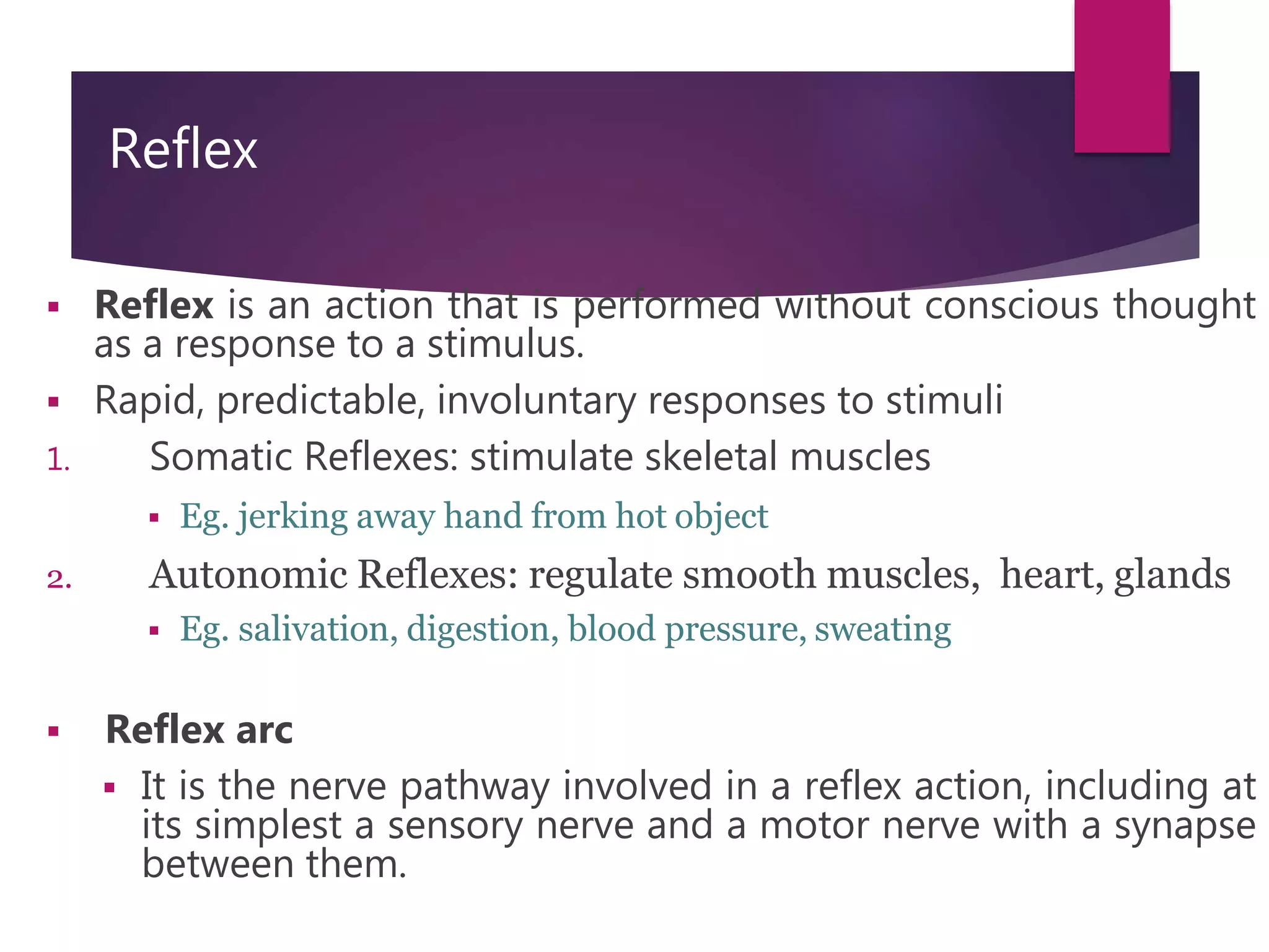 Nervous system ppt | PPTX